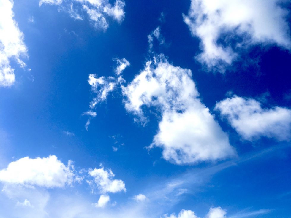 What Covid-19 is teaching us – Annika Hayman - Freedom Coach